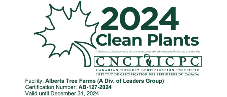 About - Alberta Tree Farms