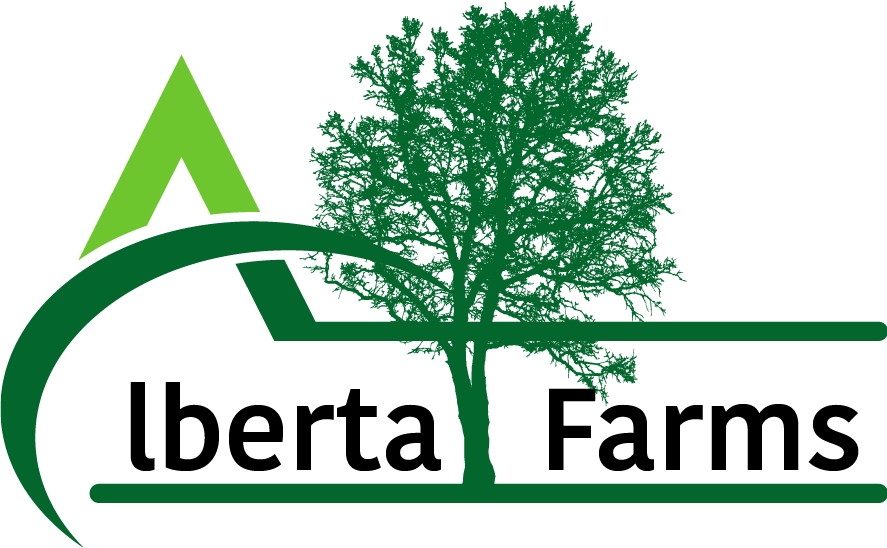 Assiniboine Poplar - Alberta Tree Farms